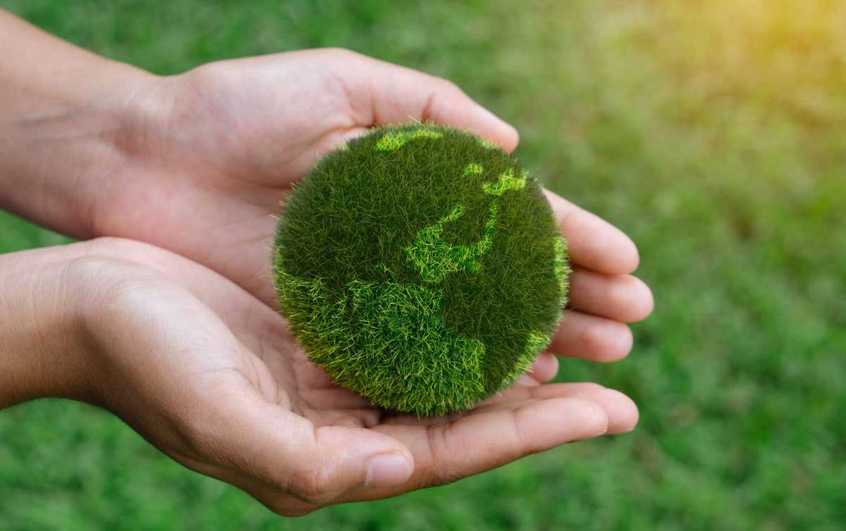 Green Shoots Need Nurturing | Accounting & Financial Advisors | Ifac