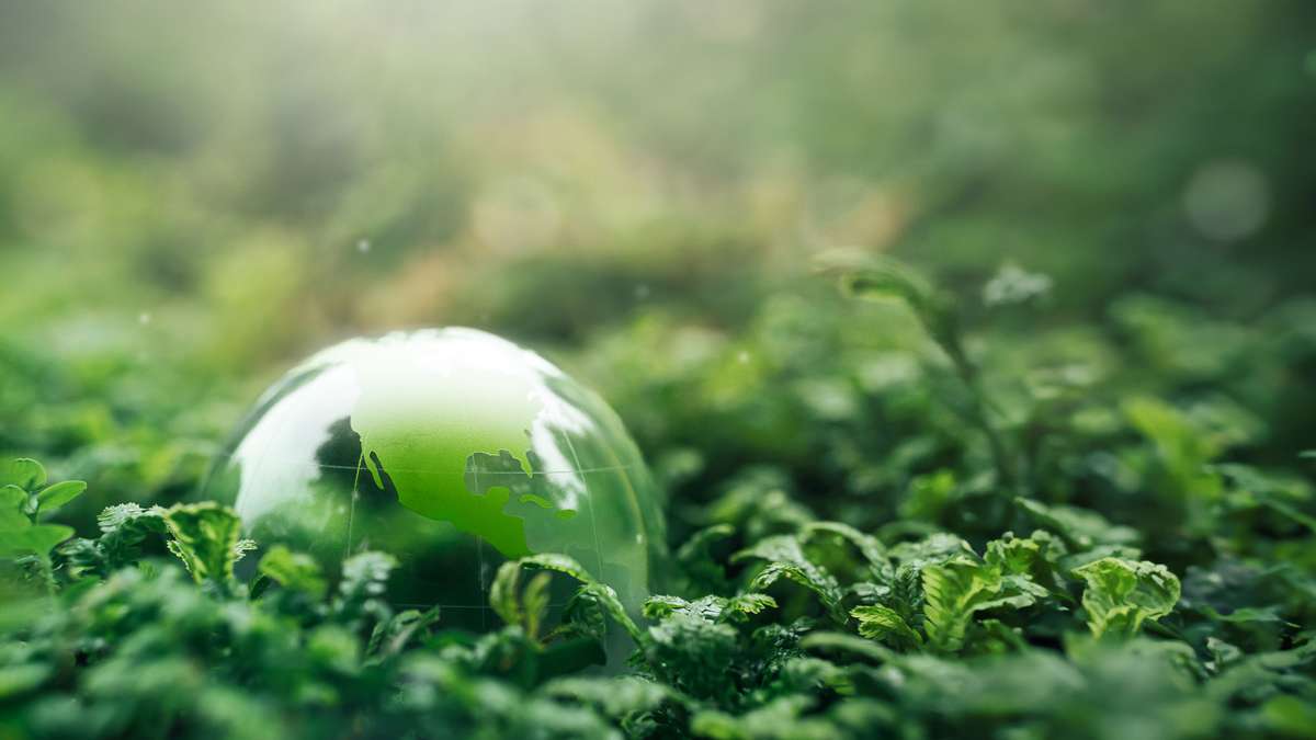 Sustainability Simplified: What Irish SMEs Need to Know About the New ...