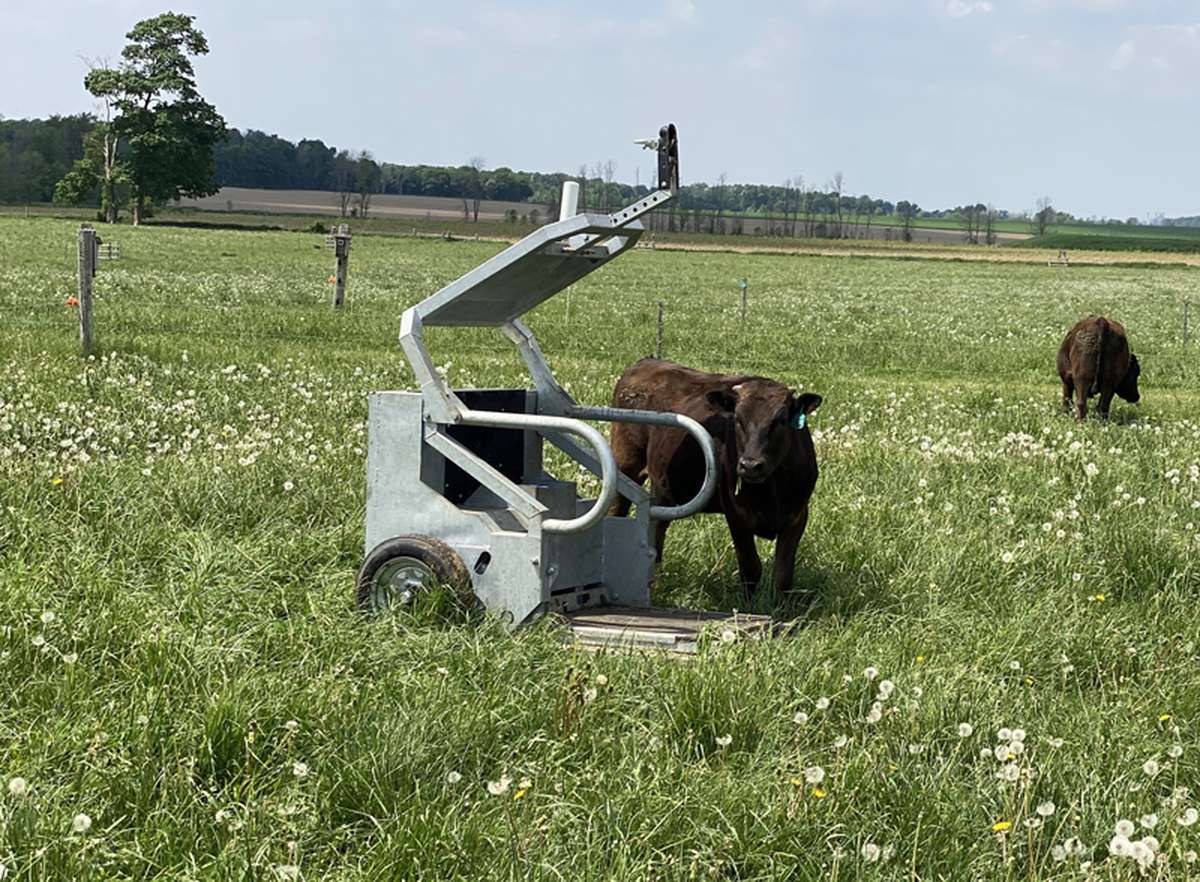 StrongBó Agritech: Pioneering Innovation in the Beef Industry and ...