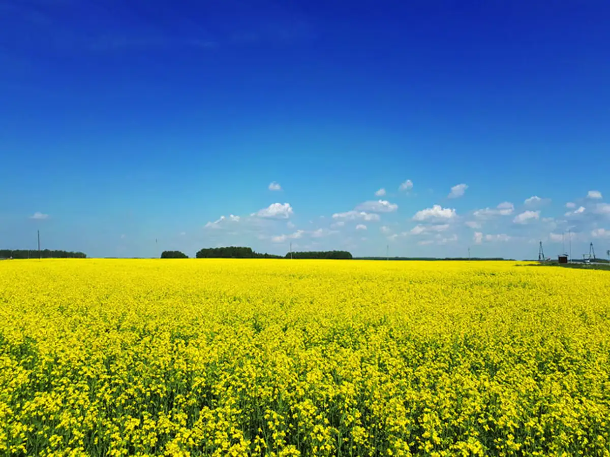 Employer's Legal Duty: Confirming Employee Right to Work in Ireland ...